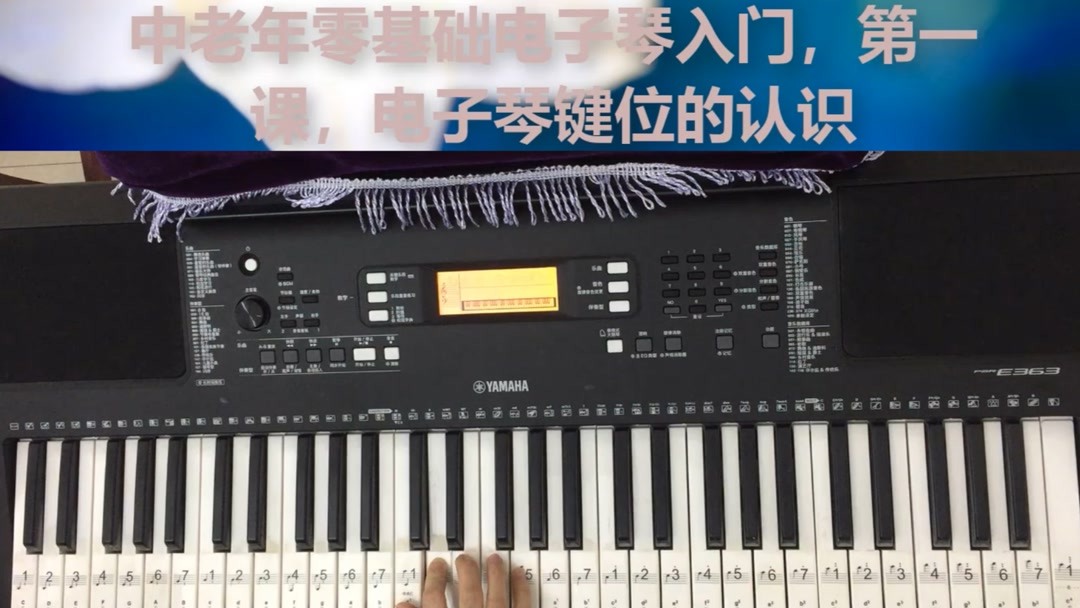 中老年零基础电子琴入门,左手和弦技巧,和电子琴键位的认识