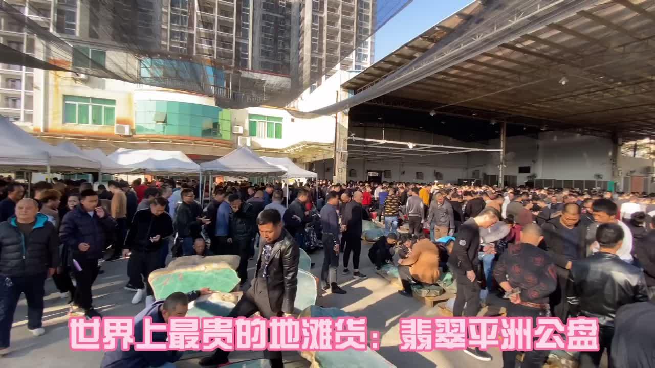 全世界最贵地滩货#今天拍点啥 #翡翠 #平洲玉器街