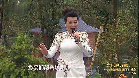梨园春戏曲名家名段 豫剧《抬花轿》:汪荃珍