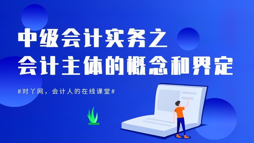 中级会计实务之会计主体的概念和界定·对丫网自制