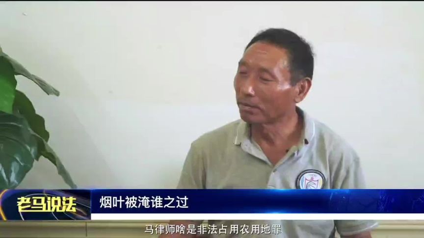 非法占用农用地可能涉嫌犯罪!#法律咨询 #案件代理#律师在线