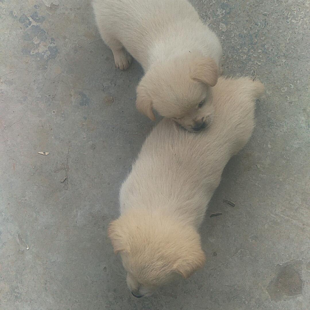 特别的1特别的5 