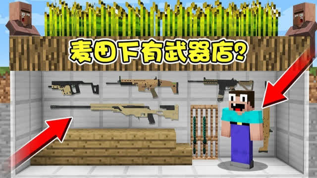 我的世界:麦田下开了一个武器店?这武器店不简单呀!