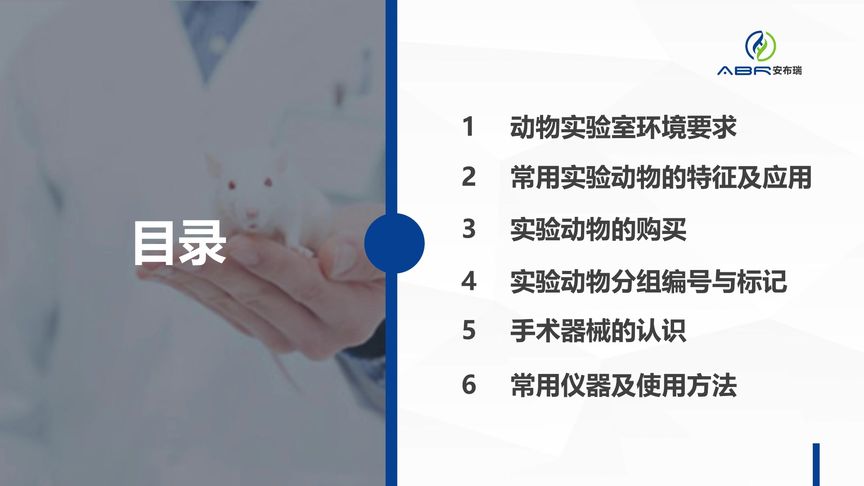 实验特训营-动物实验-基础知识 #医学生日常 #实验室日常