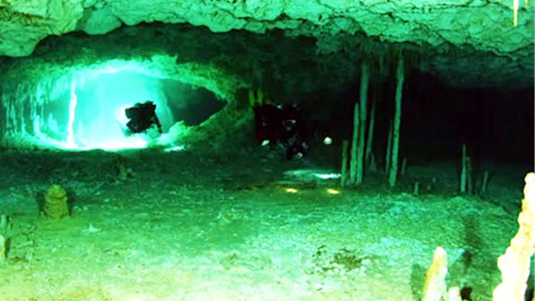 地底拥有庞大的生态系统,复杂程度令人咂舌,生存着不少长寿生物