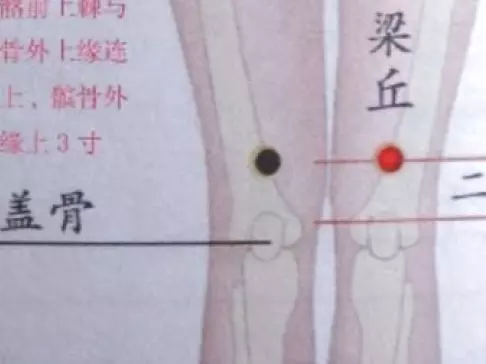 经络穴位(梁丘穴)
