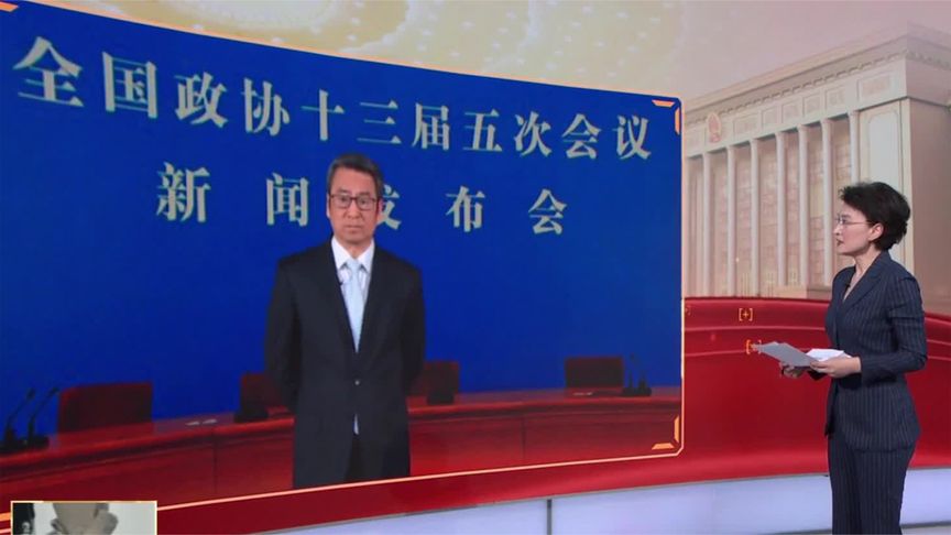 政协委员白岩松已提交3份提案 还有一份准备关注残障人士