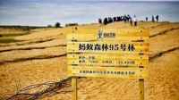 蚂蚁森林有多牛?中国让140万亩沙漠变绿洲