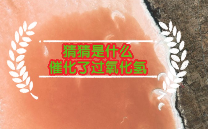 猜猜是什么催化了过氧化氢