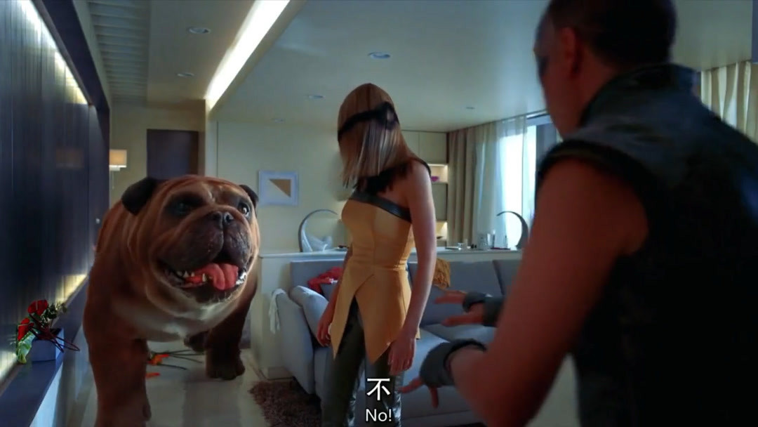 一波神操作,最后被一条狗带走了.异人族