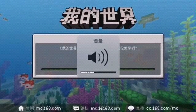 【嘘-看我】《我的世界》水肺药水,水下呼吸,水下世界