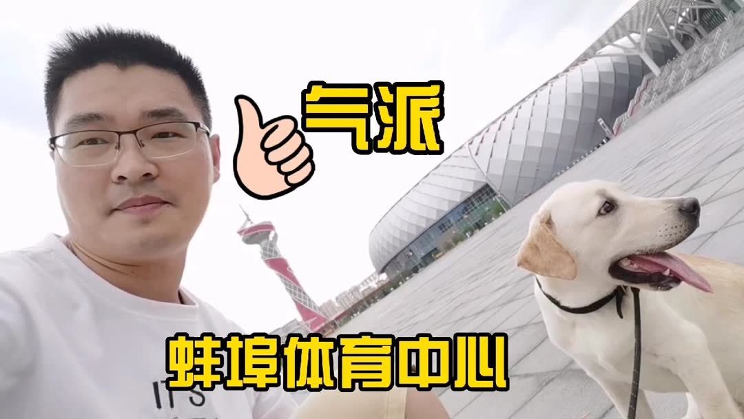 食草狼带狗狗参观蚌埠体育中心,看看荣获鲁班奖的建筑,气派壮美