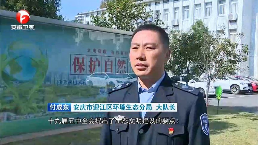 【安徽新闻联播】迎江:推动绿色发展,人与自然和谐共生