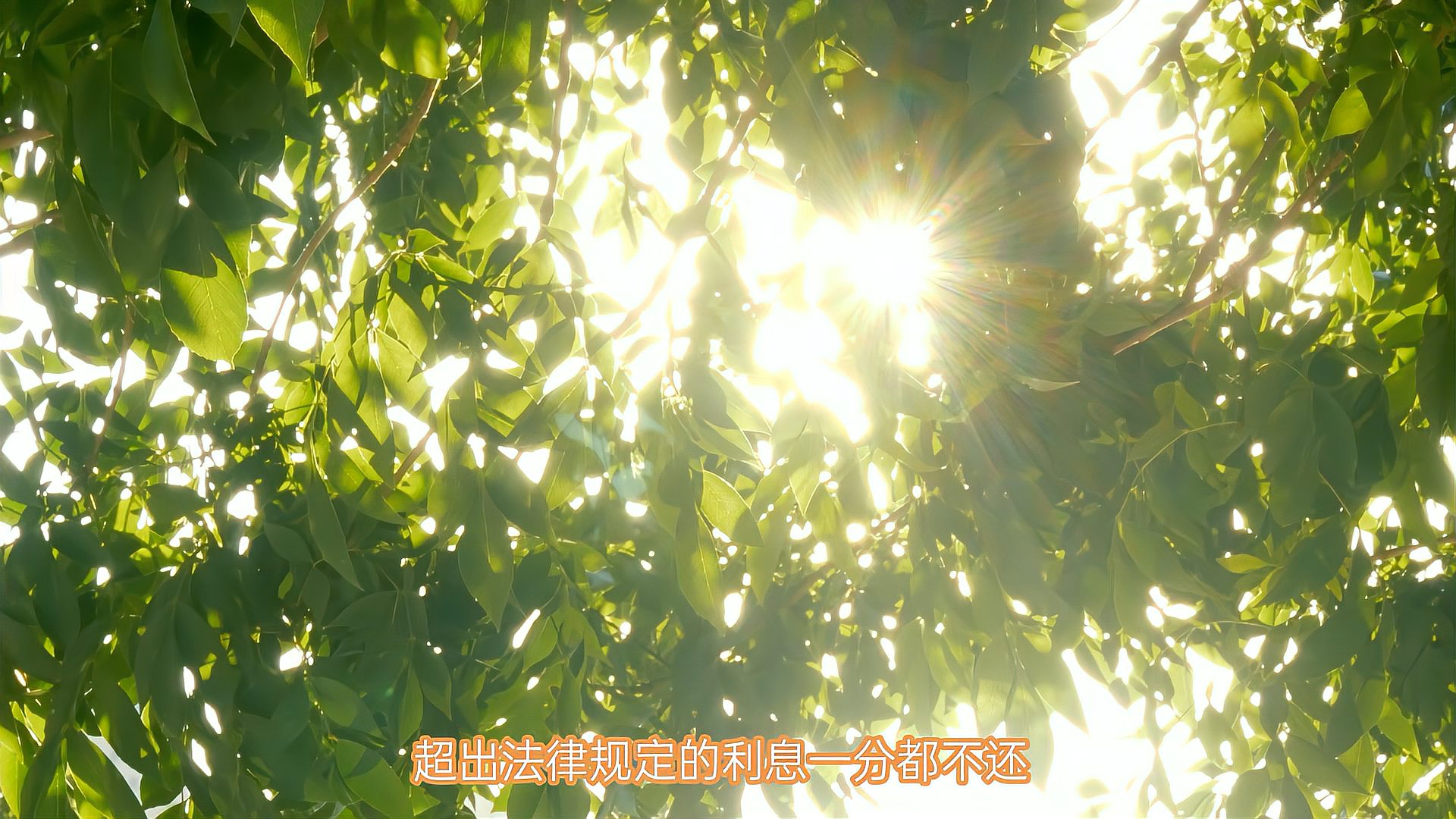 信用卡借呗花呗网贷逾期了,催收说要上门是真的吗?如何应对