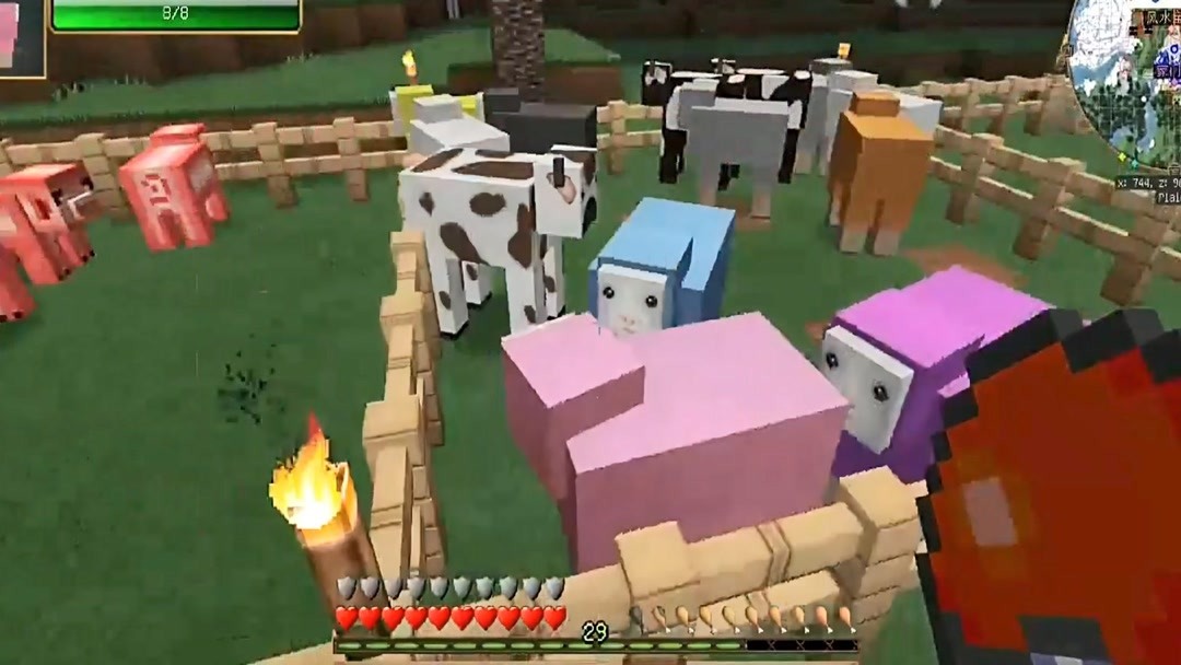 我的世界:这个星星只能插到地上不能挂起来!