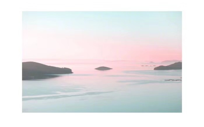 【仓鼠】小雪团-仓鼠观察日记15