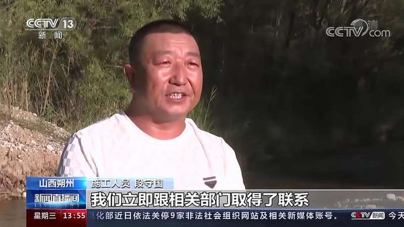 【山西: 清理河道意外发现1.2米野生娃娃鱼 】近日,山西朔州市水利...