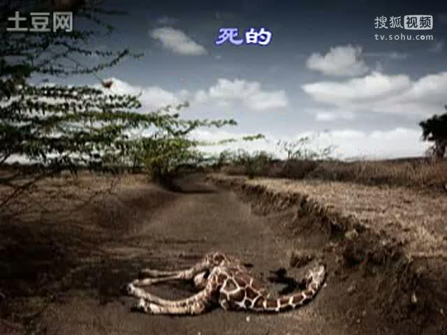 节水公益宣传片 jieshui