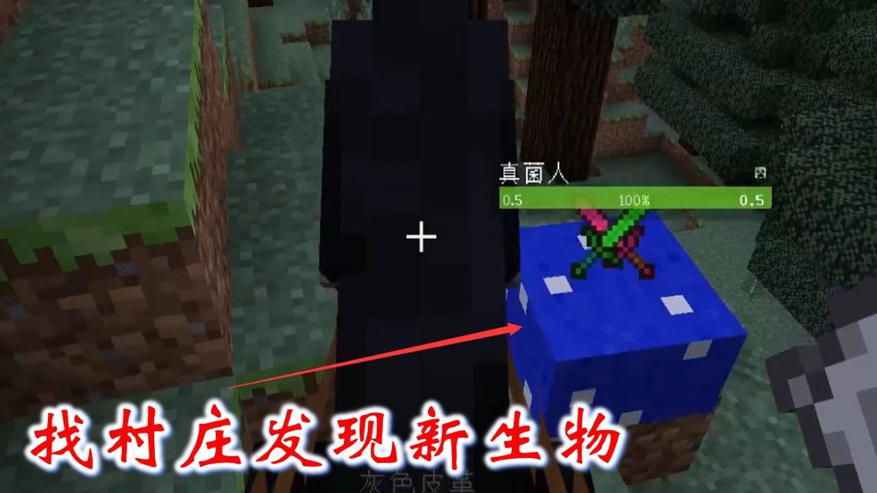 我的世界虚无世界59:主世界真的有村庄吗?我找了一天都没看到