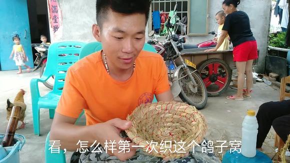 农村小梁用稻谷草编织鸽子窝,简单容易织,经济适用。