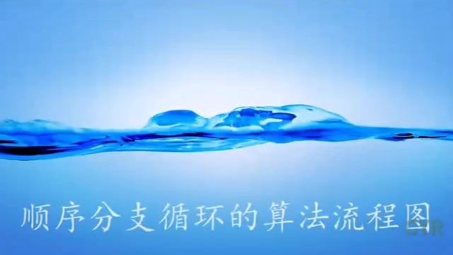 程序设计基础复习课之 顺序与分支结构算法流程图 #程序设计基础