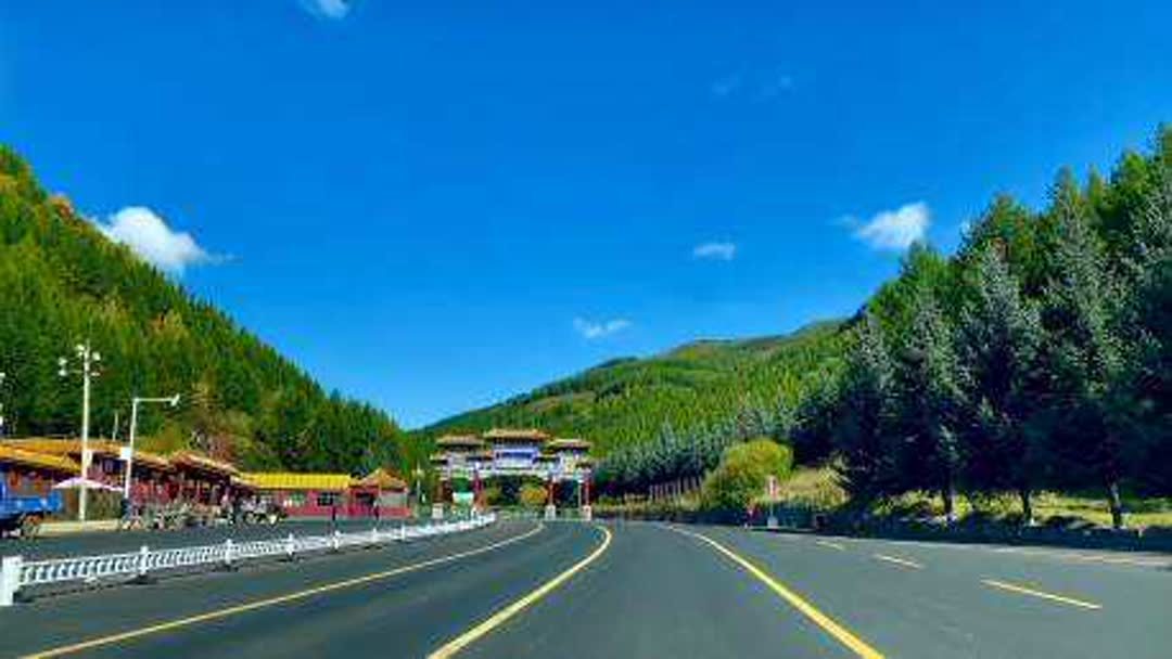 我们自驾去乌兰布统大草原,途径塞罕坝国家森林公园