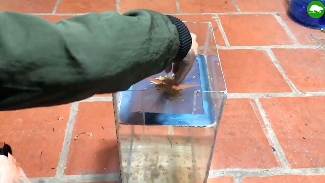 神奇捕鼠器:教你如何制作简易好上手的捕鼠陷阱
