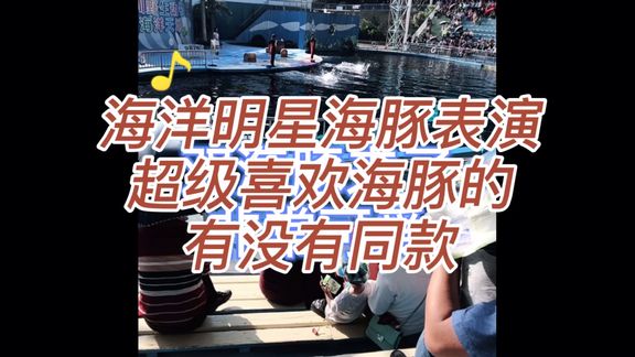 海洋明星海豚来咯,双海豚表演,超赞