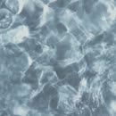 喜欢看书的谷利思美 