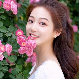 自在半夏好时光 