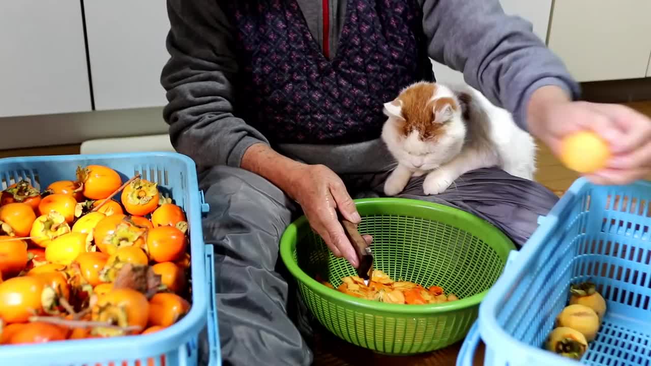 【猫叔】20181120 シロと柿の皮むき