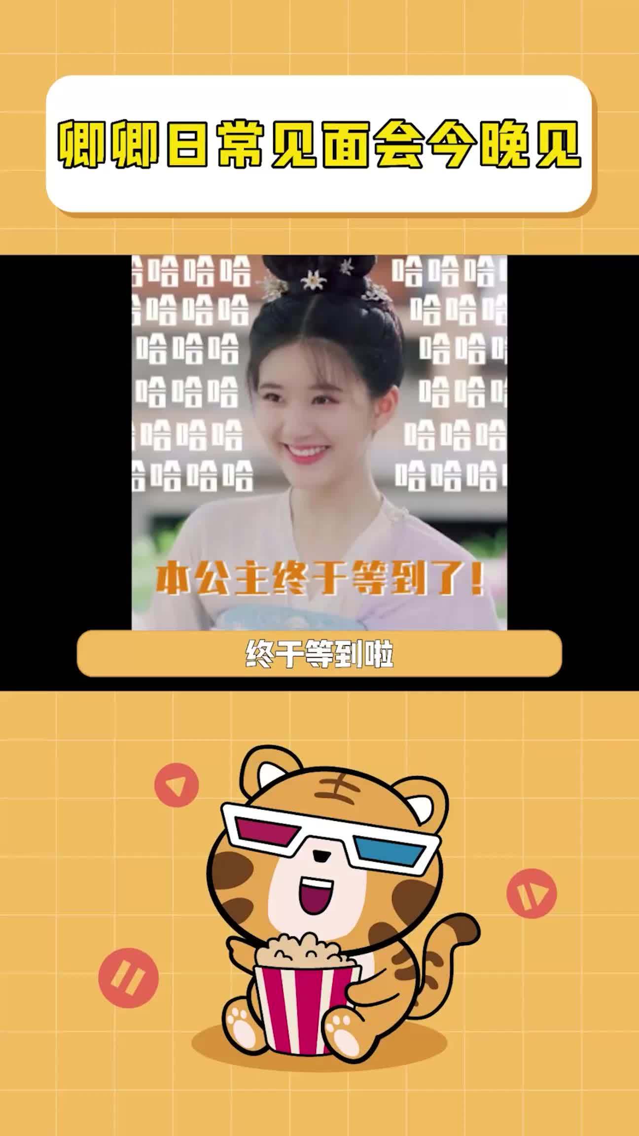 卿卿日常今晚730见面会来啦好剧推荐白敬亭电视剧