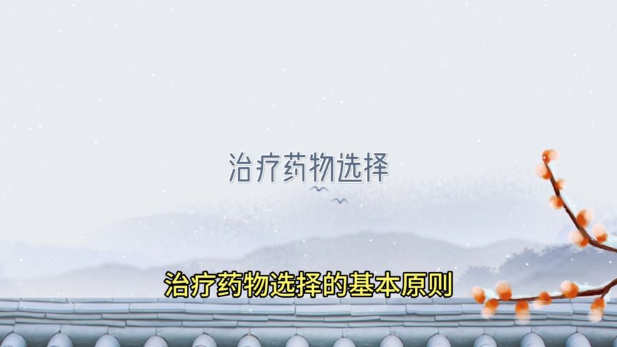 治疗药物选择的基本原则 安全性有效性
