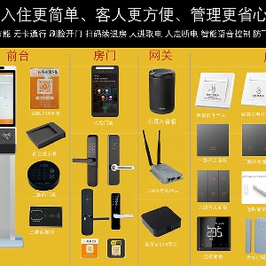 大豪物联Lora联网门锁 