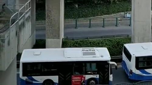 见识一下上海磁悬浮列车进站的场景,看到这一幕,真是开了眼界