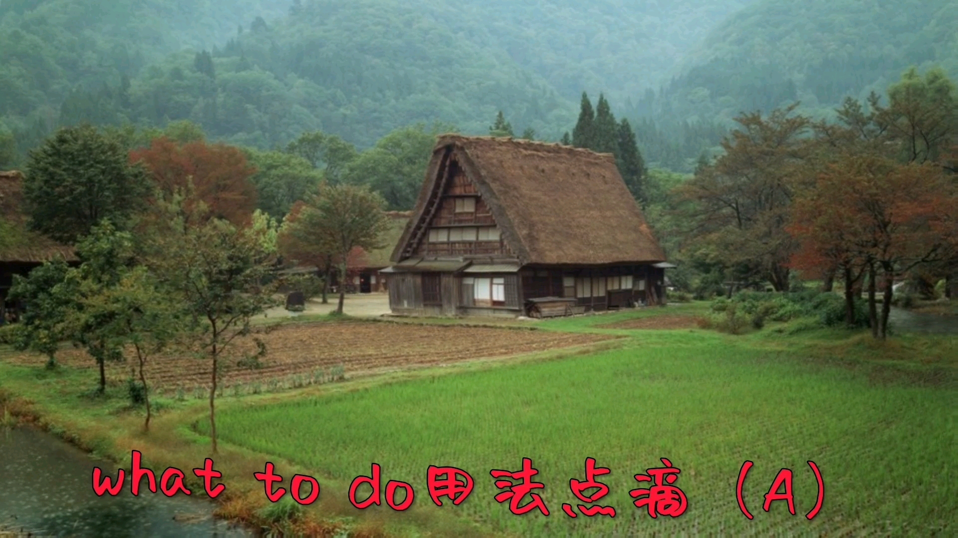 what to do用法点滴(A)