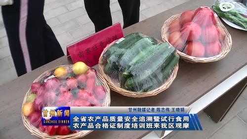 全省农产品质量安全培训班来我区观摩