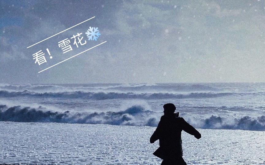 校园的雪景/坐标河北经贸大学经济管理学院/2019年的第三场雪鸭!