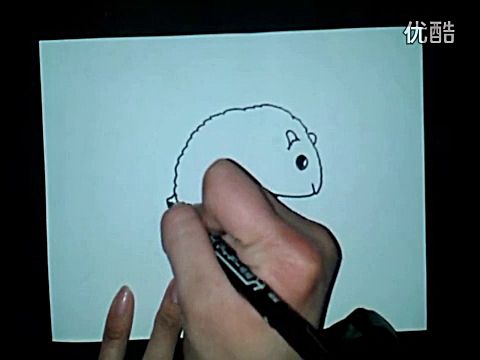 俄罗斯仓鼠画法