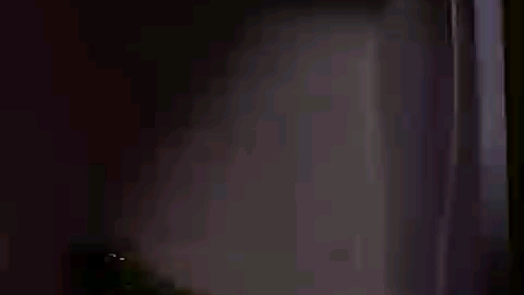 请问是红茶还是绿茶里鲤