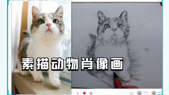萌宠素描,素描小动物基础技法教学。零基础也可以学会的教学视频