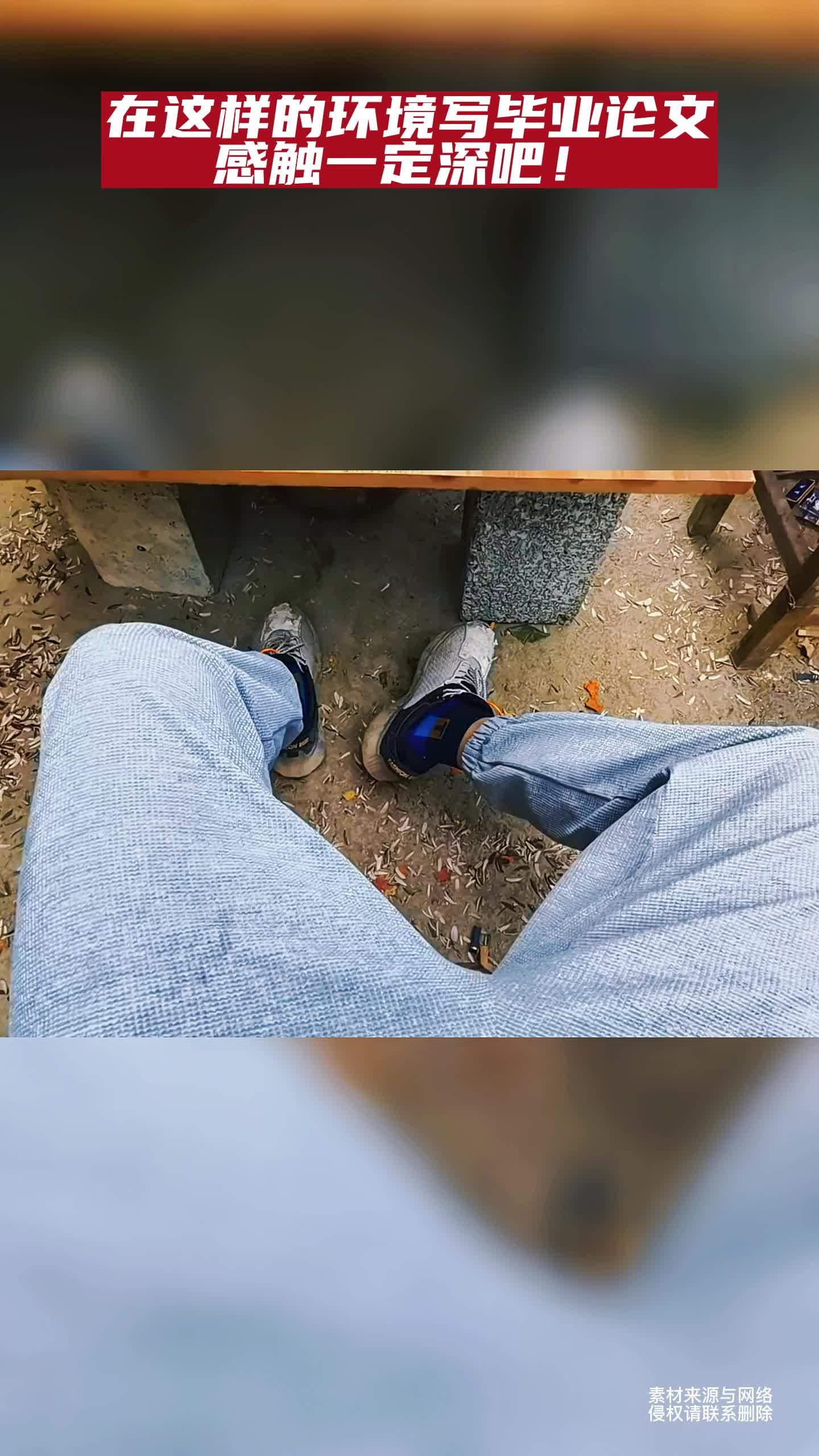 在这样的环境写毕业论文,感触一定深吧!