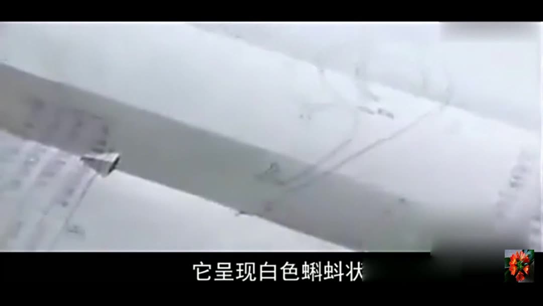 中国UFO史上最真实的接触外星人事件