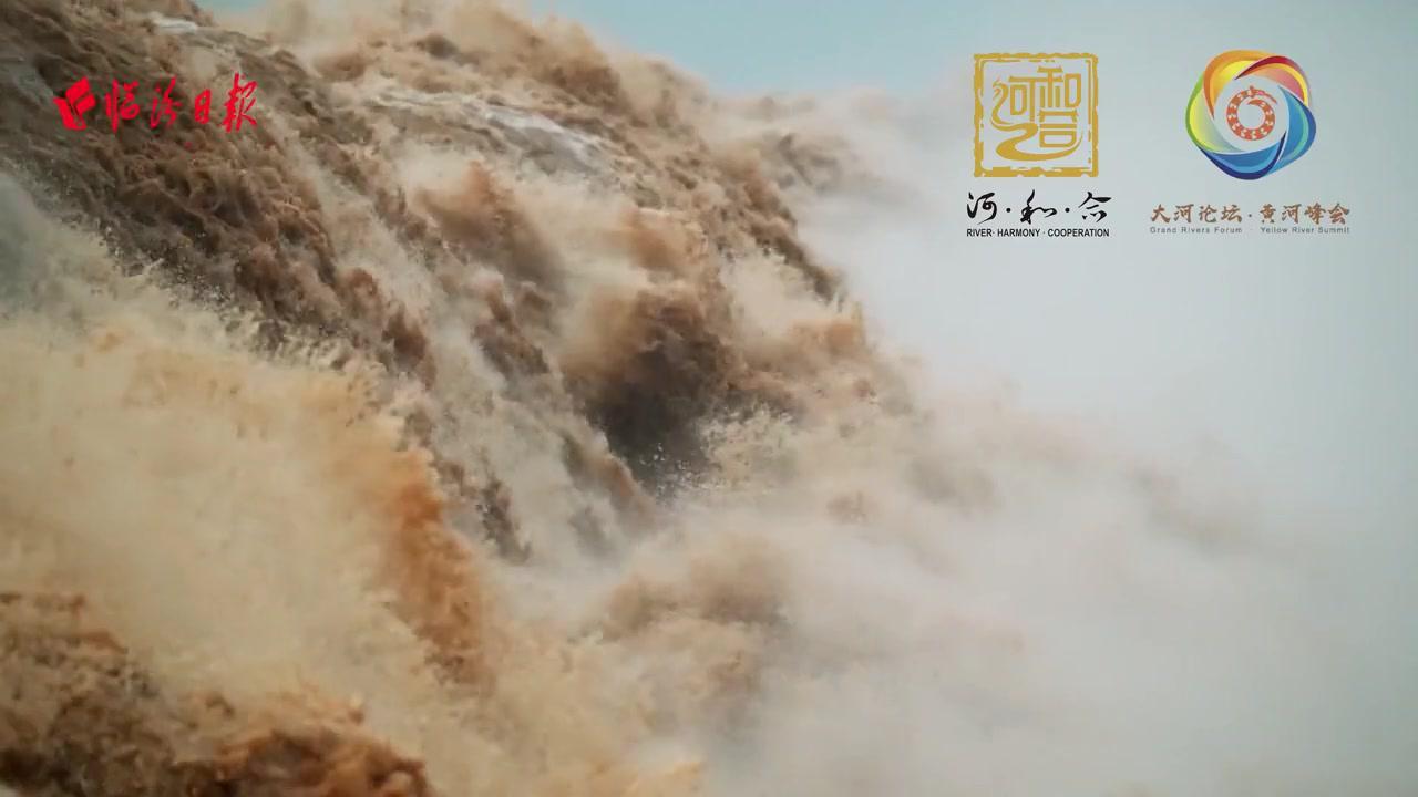 大河论坛•黄河峰会|探馆"云之上国际会议中心"#场面壮观#带你看风景