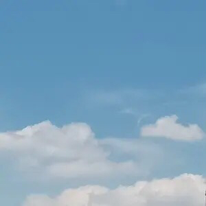 _童言_ 