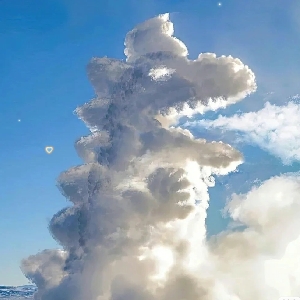 子非我-安知我心 