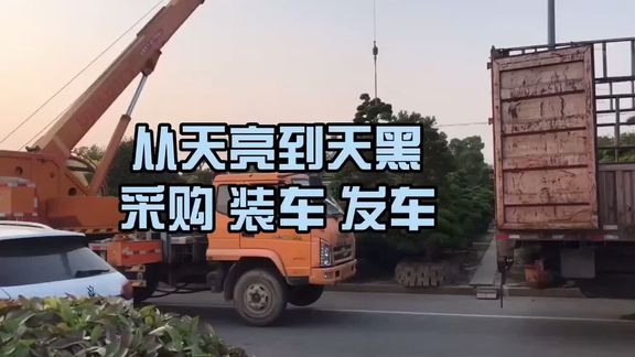 要不要开直播 分享我们小夫妻创业的点滴啊 有支持我们的吗ߥ