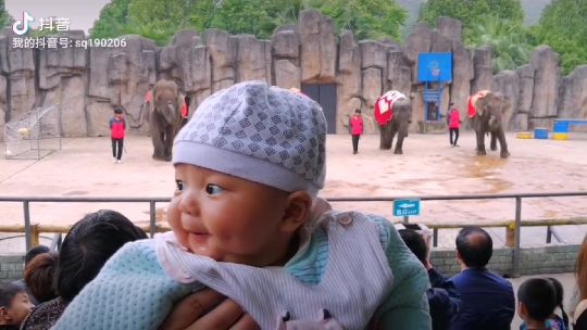 两个月的宝宝进动物园,大象表演他不看,看什么呢?