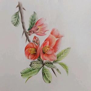 热爱生活的萍萍 