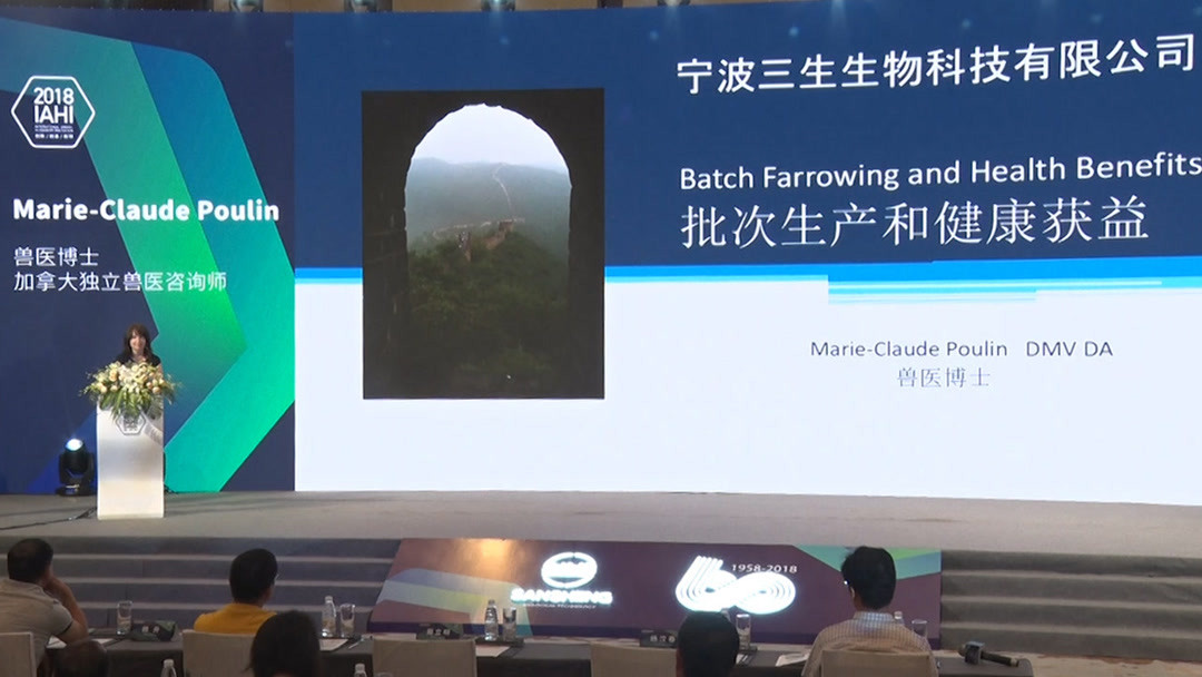 规模猪场为何选择批次化生产?有何获益?